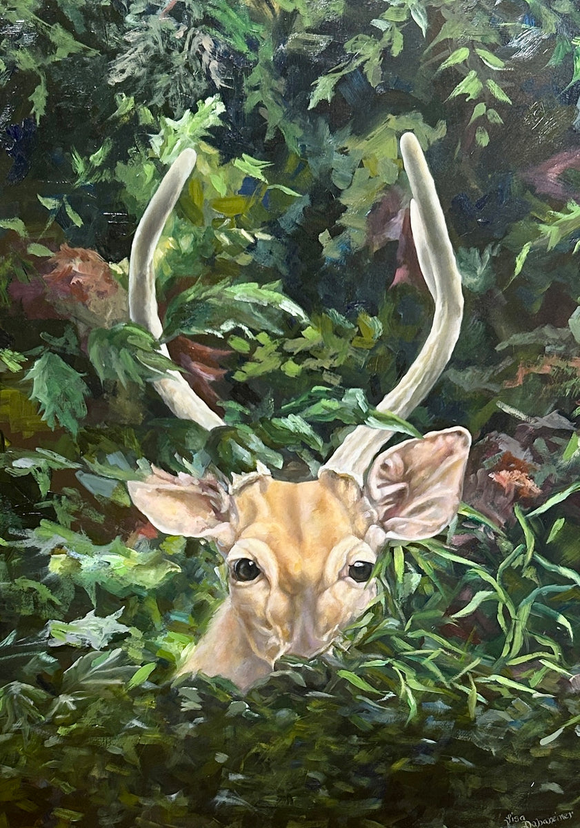 Peek A Boo Deer – The Little Gallery - Virginia