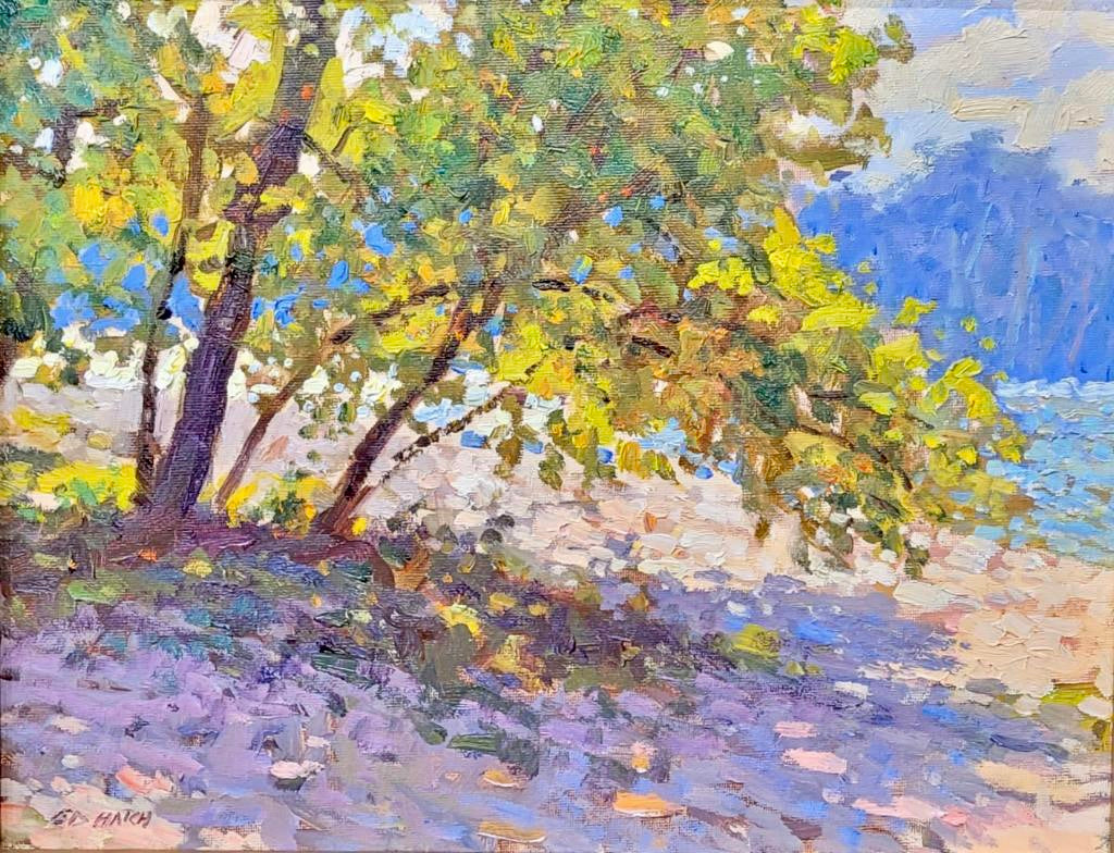 Ed Hatch Paintings – The Little Gallery - Virginia