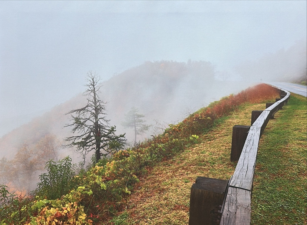 Brian Wells-Looking North Pine Tree Overlook – The Little Gallery ...