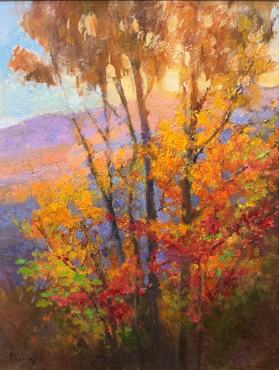 Sun Shining Through The Trees in November 1022 – The Little Gallery ...